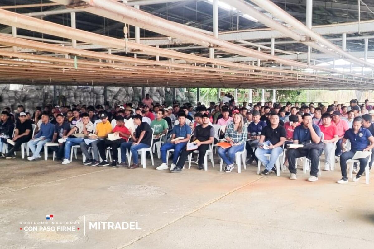 5,837 personas aplicaron para trabajar en las fincas de Chiquita en ...