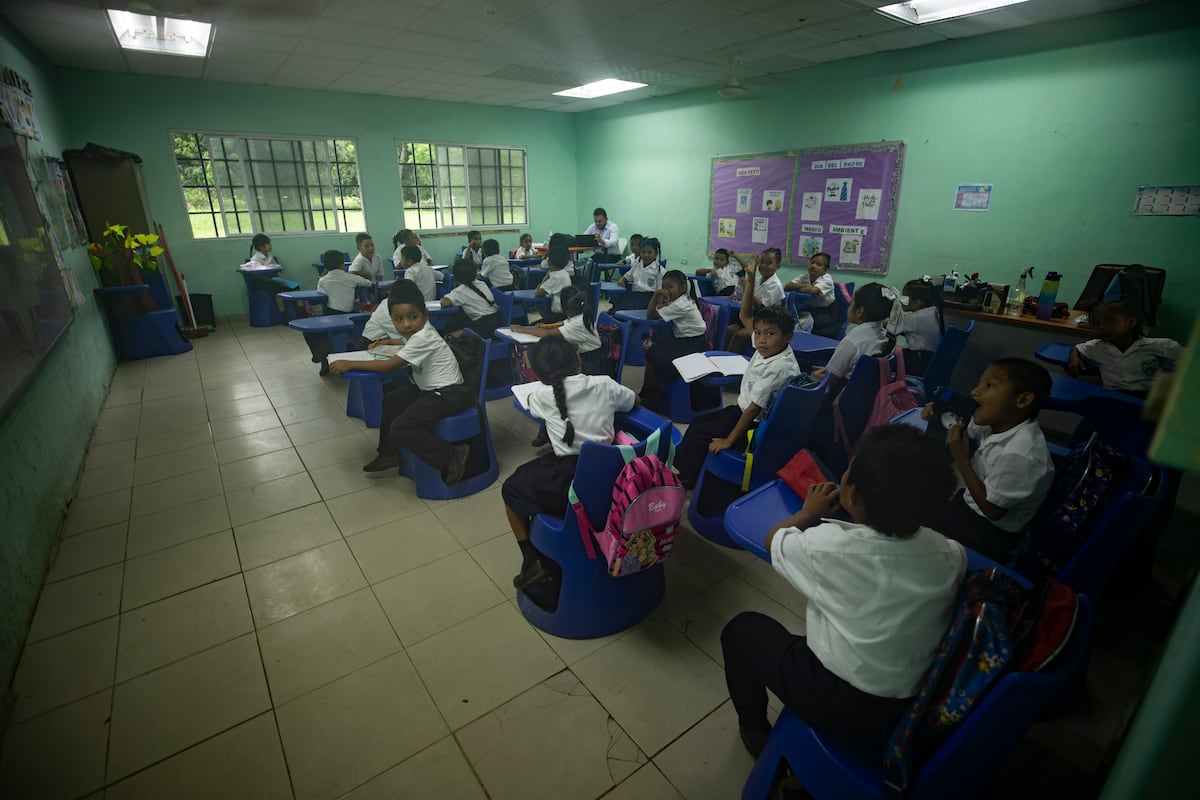 Tras 15 años sin actualización, Meduca implementará nuevo currículo ...