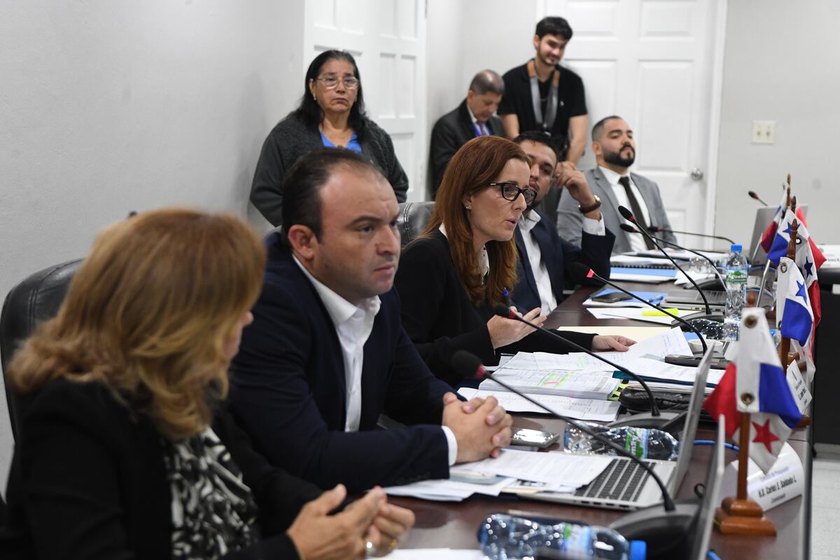 Diputada Prado: ‘En salud, ciencia y agro hay recortes dramáticos’ | La ...