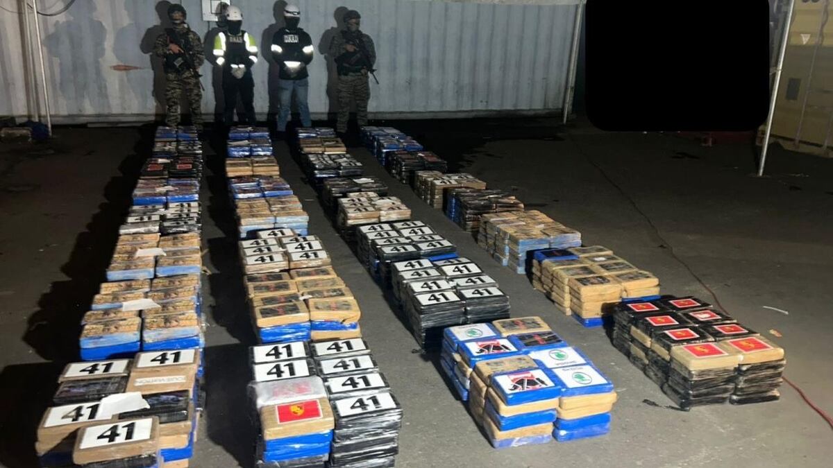 Más de 50 toneladas de droga decomisada en Panamá fueron destruidas en Estados Unidos | La ...