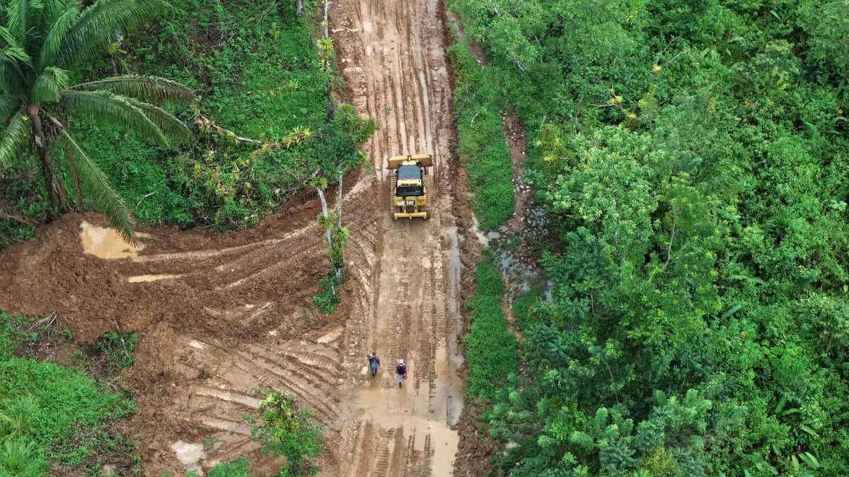 Avanza la rehabilitación de caminos en la cuenca del río Indio | La ...