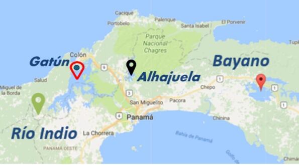 CICH adopta estrategia de desarrollo sostenible y respalda proyecto de ...